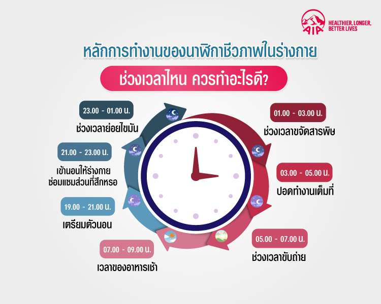 “นอนเร็ว-ตื่นเช้า” กับ “นอนดึก-ตื่นสาย” เหมือนกันรึเปล่า? - AIA Natetip